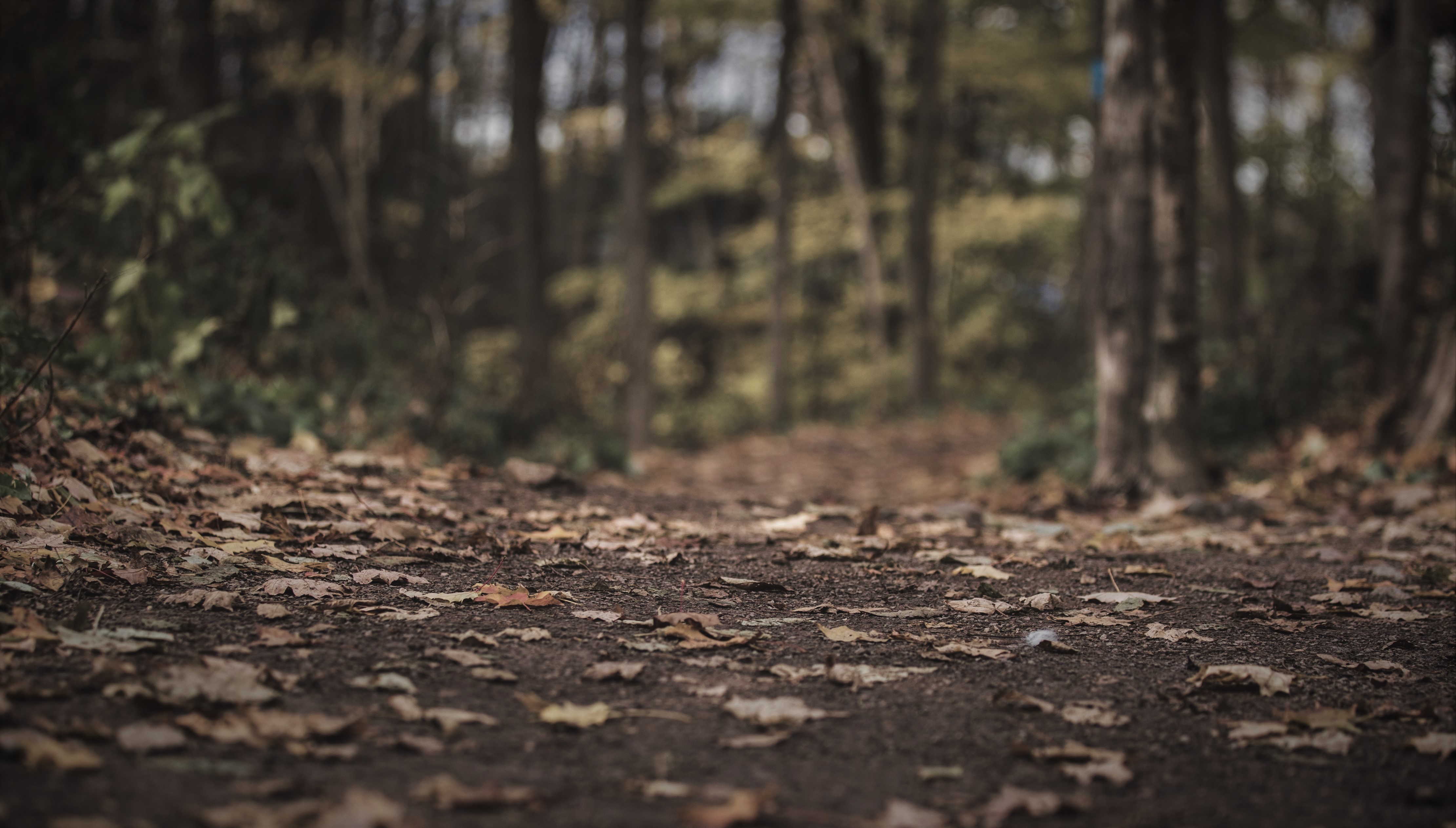 Cape Town Biokinetics Exercise RehabilitationNeil Hopkins Biokineticist ...